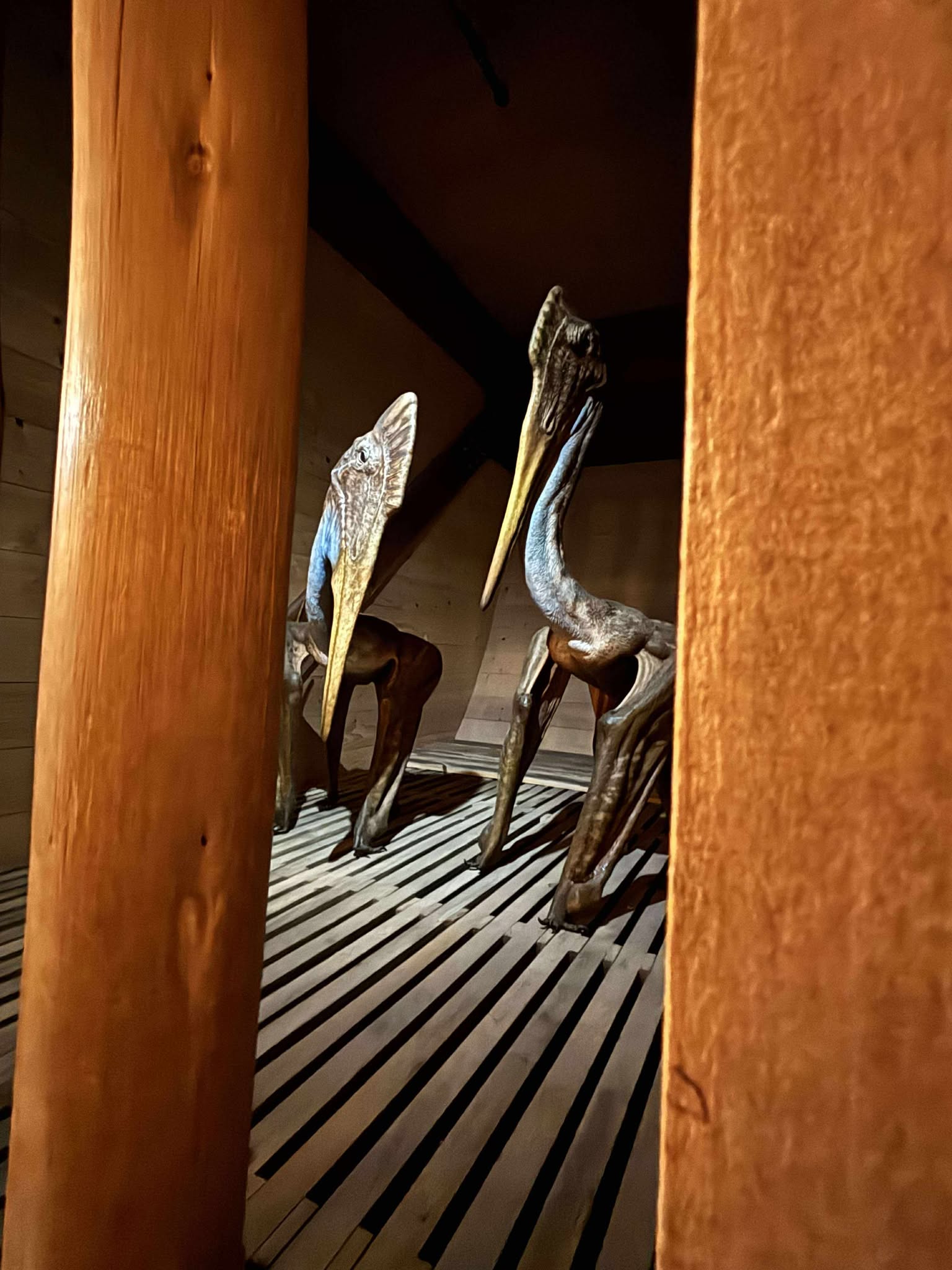 Visiting ‘Noah’s Ark’ – Full Travel Guide – The Wavy Trip