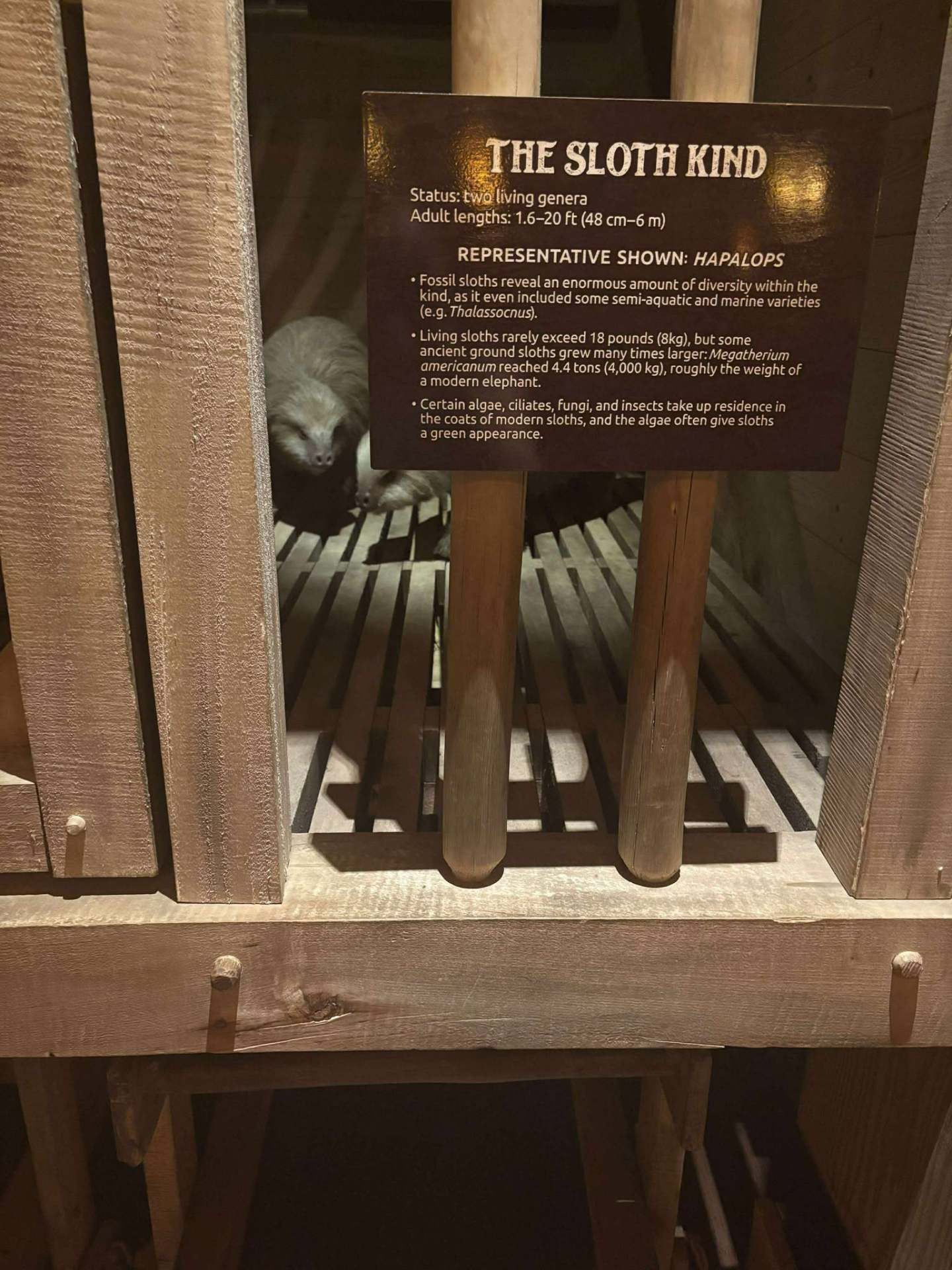 Visiting ‘Noah’s Ark’ – Full Travel Guide – The Wavy Trip