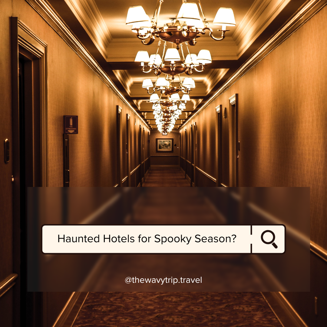 Top 5 Haunted Hotels For Spooky Season – The Wavy Trip