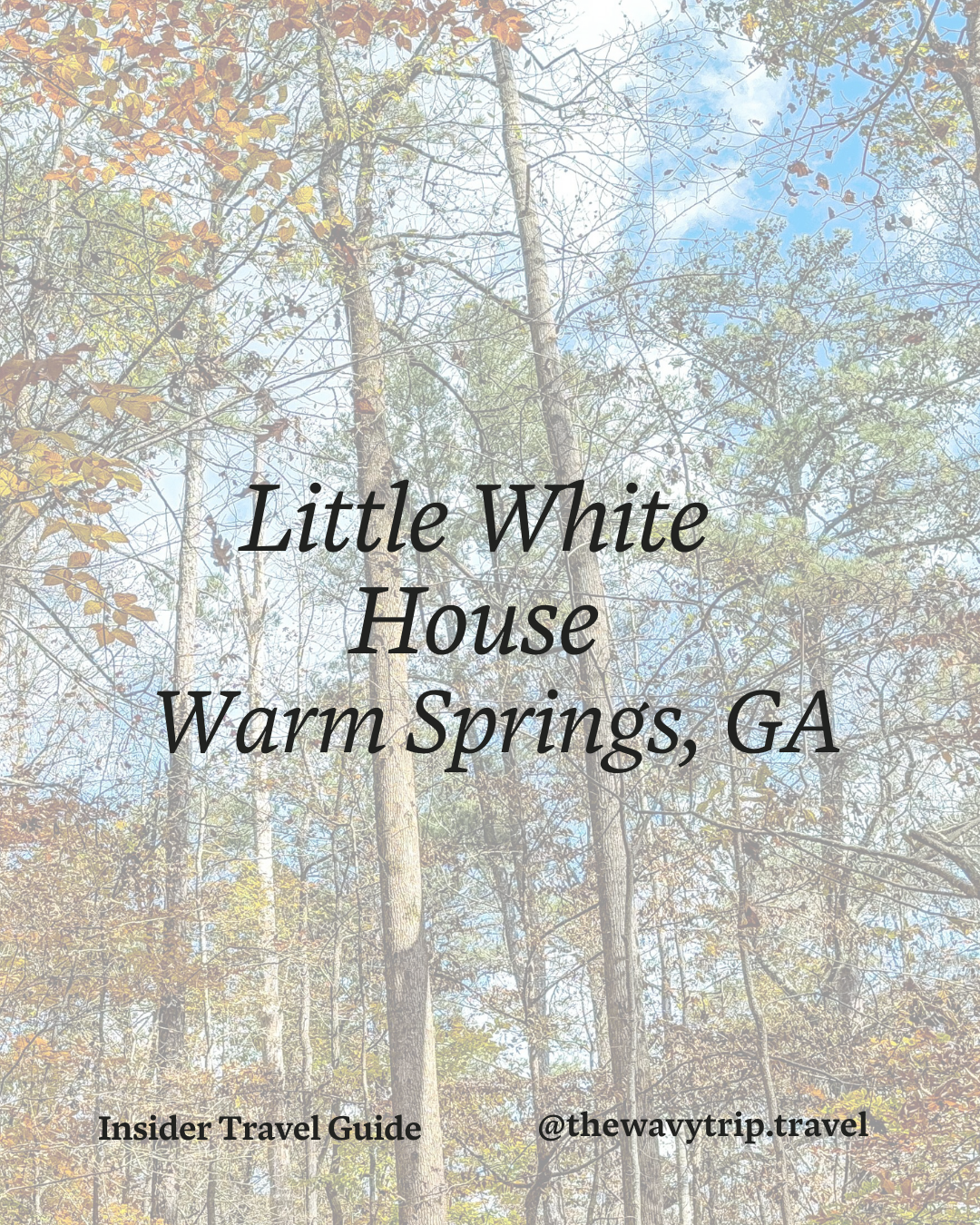 Roosevelt’s Little White House – Insider’s Guide – The Wavy Trip